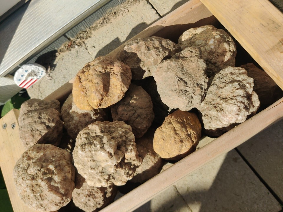 Unopened Indiana Geode Large | eBay