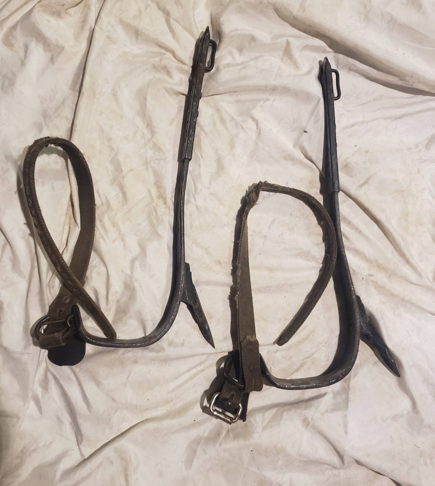 Tree CLIMBING SPIKES / SPURS | eBay