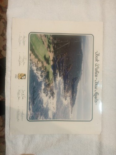 Vintage 1982 Blue Angels “Best wishes” Picture With Autographs. 17x21 ...