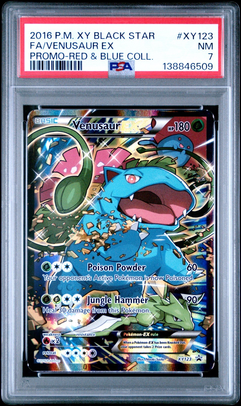 Venusaur-EX #XY123 - XY Black Star Promos | Price Guide & Historical ...