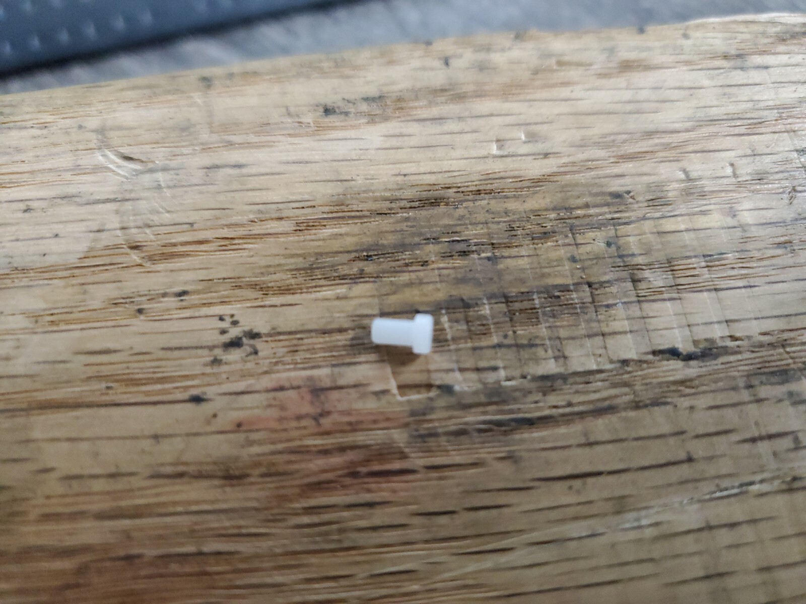 Smith and Wesson SW 22 SW22 Victory Firing Pin Buffer OEM New Gun Parts ...