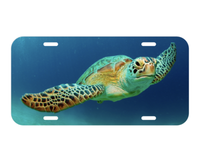 Sea Turtle License Plate Auto Tag Plate Ocean Beach Loggerhead sea Gulf ...