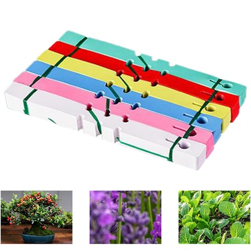 Colorful and Practical 200 Count Plant Tags for Indoor Outdoor Gardens ...