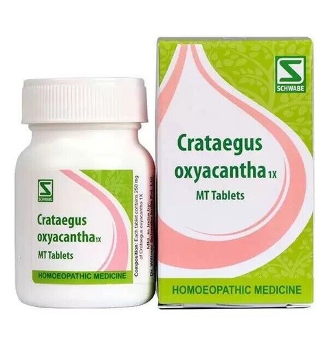 Willmar Schwabe India Crataegus Oxyacantha 1x MT (20gm Tablets) | eBay