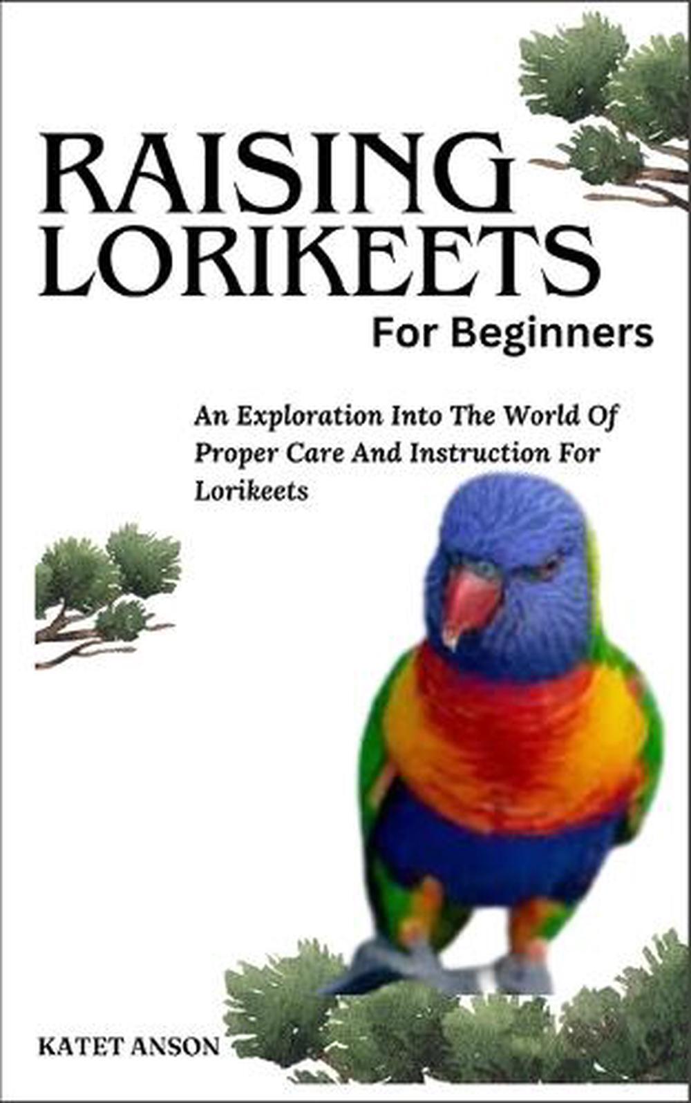 Raising Lorikeets for Beginners: An Exploration Into The World Of ...