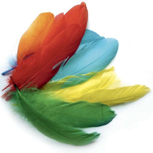 Assorted Colored Goose Feathers 15g | eBay