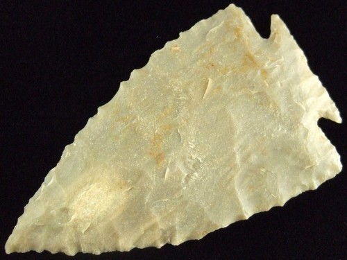 Exceptionally Fine Museum Grade 10+ Kentucky Decatur Point Butler COA ...