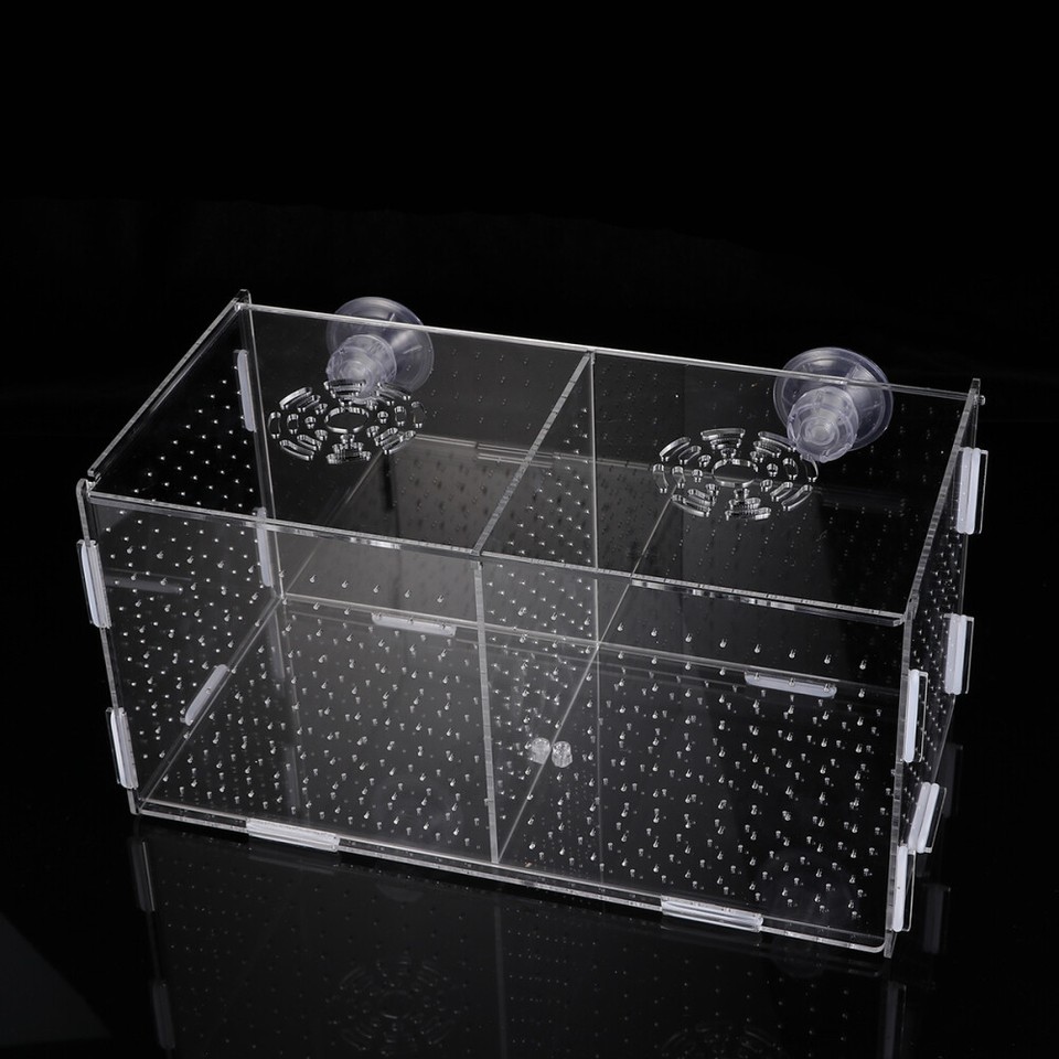 Birthing Tank Fish Aquarium Fish Breeding Fish Net Breeder Aquarium ...