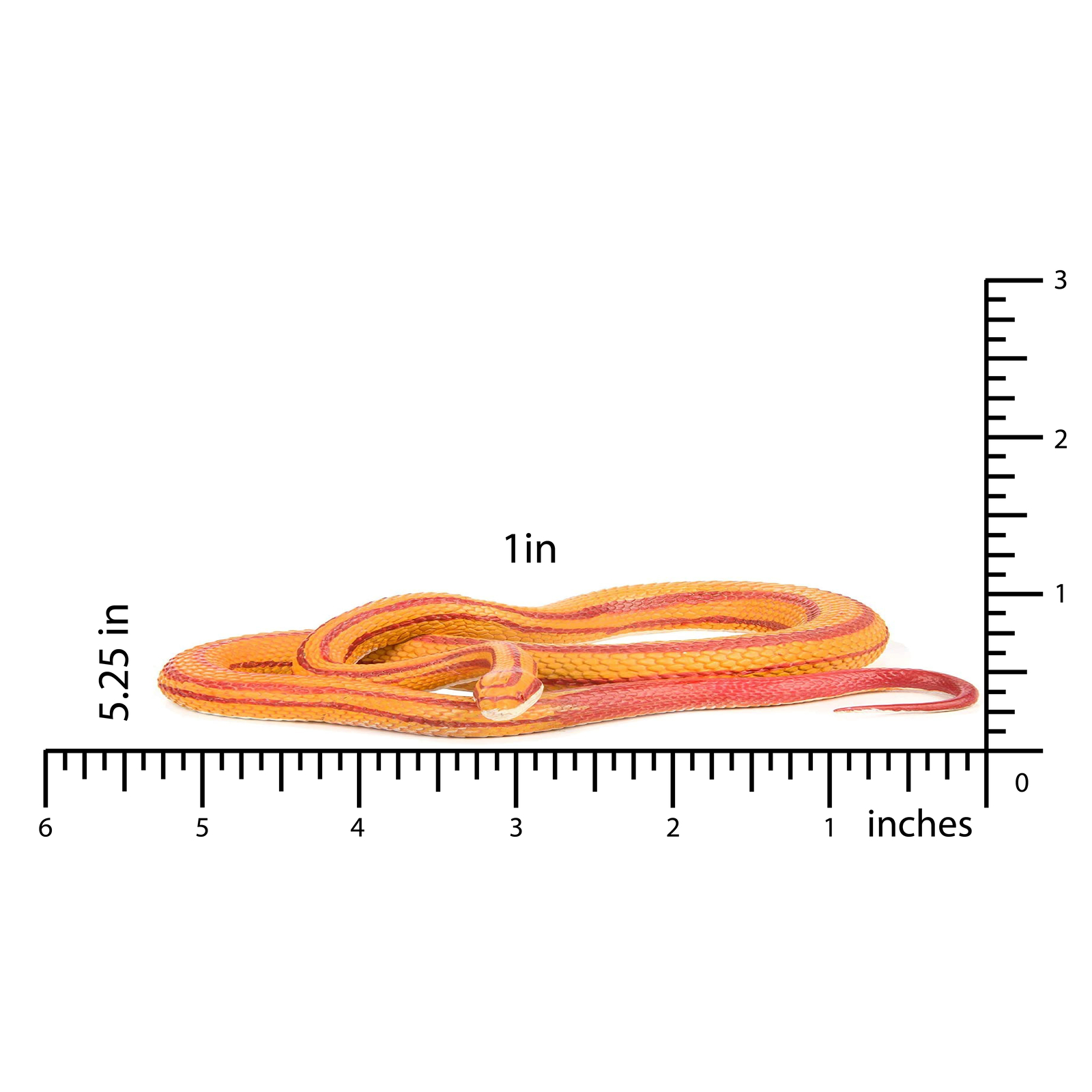 Safari Ltd. | Corn Snake | Incredible Creatures | Toy Figurines for ...