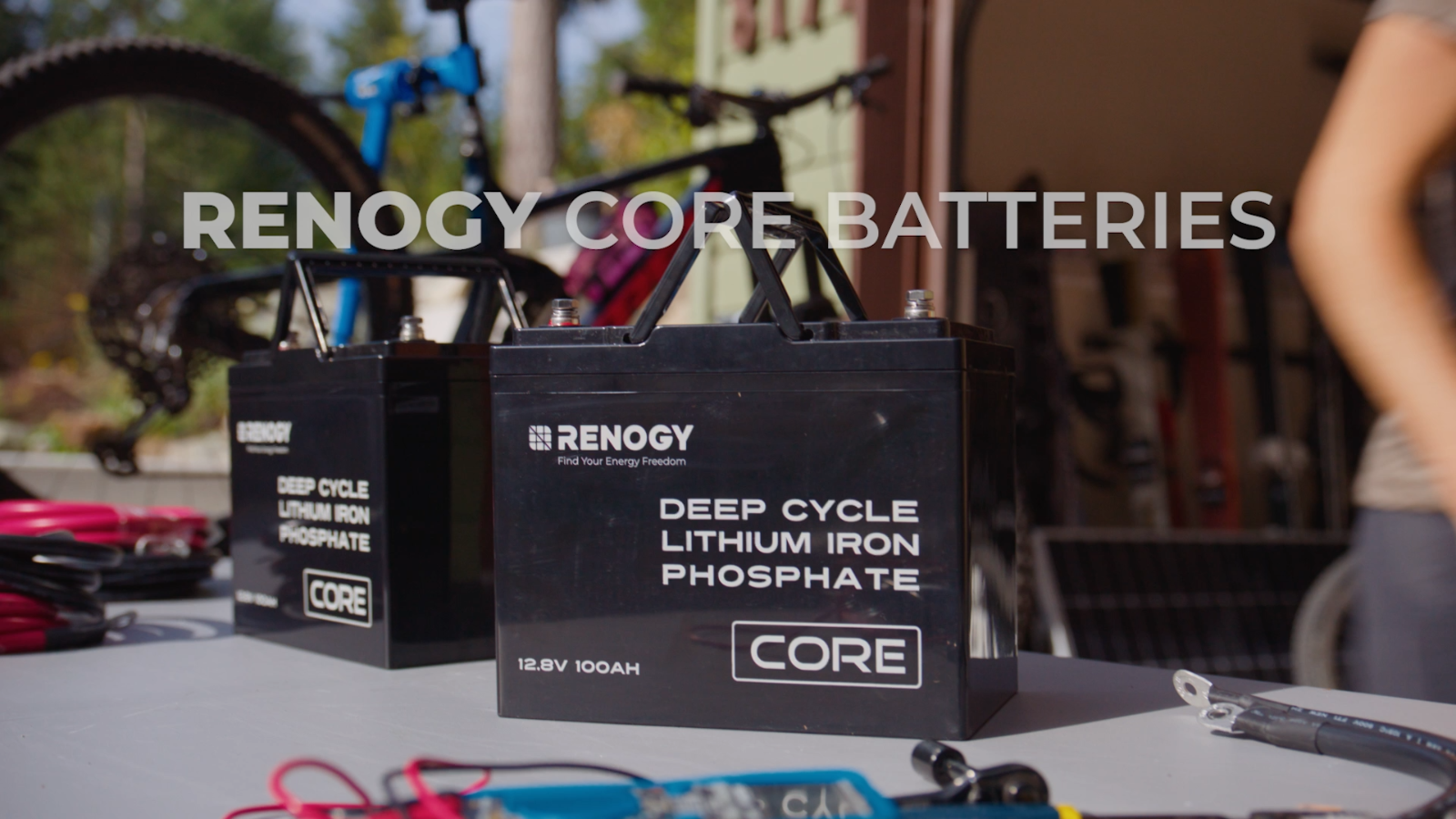 Renogy 100Ah 200Ah 12V Lithium Battery Core Series Battery 24V 48V ...