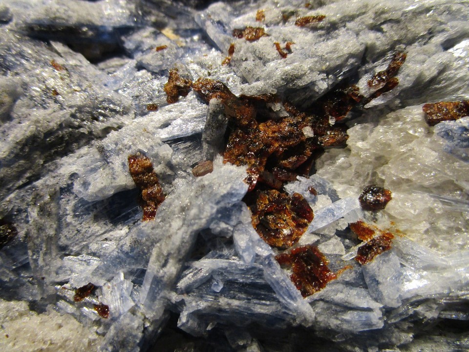 Kyanite, Blue Bladed Crystals, Touch of Staurolite, Quartz Matrix ...