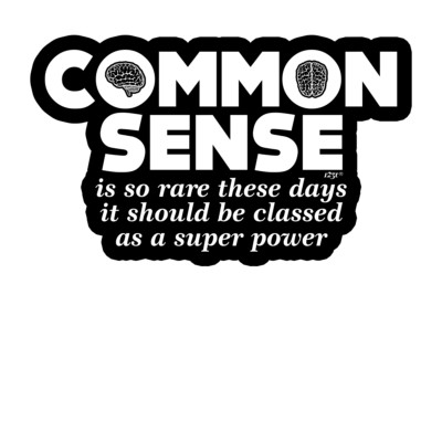 2 x Large Car Stickers - common sense is so rare Decal Bumper Laptop ...