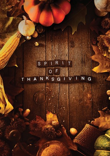 Spirit Of Thanksgiving, The (DVD) Various | eBay