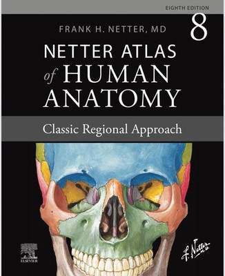 Netter Atlas of Human Anatomy Classic Paperback, by Netter MD Frank ...