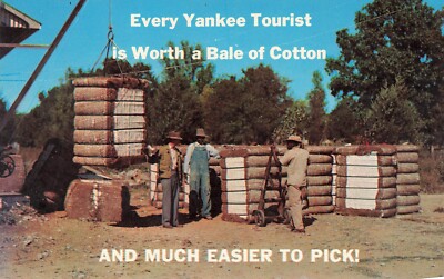 Greetings From Dixie Postcard Every Yankee Tourist Cotton Much Easier ...