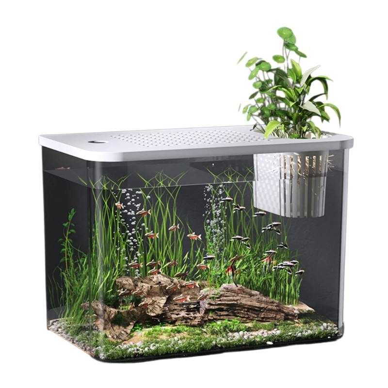 Plastic Fish Bowl Shatters Resistant Fishtanks Gold Fishtanks Easy ...