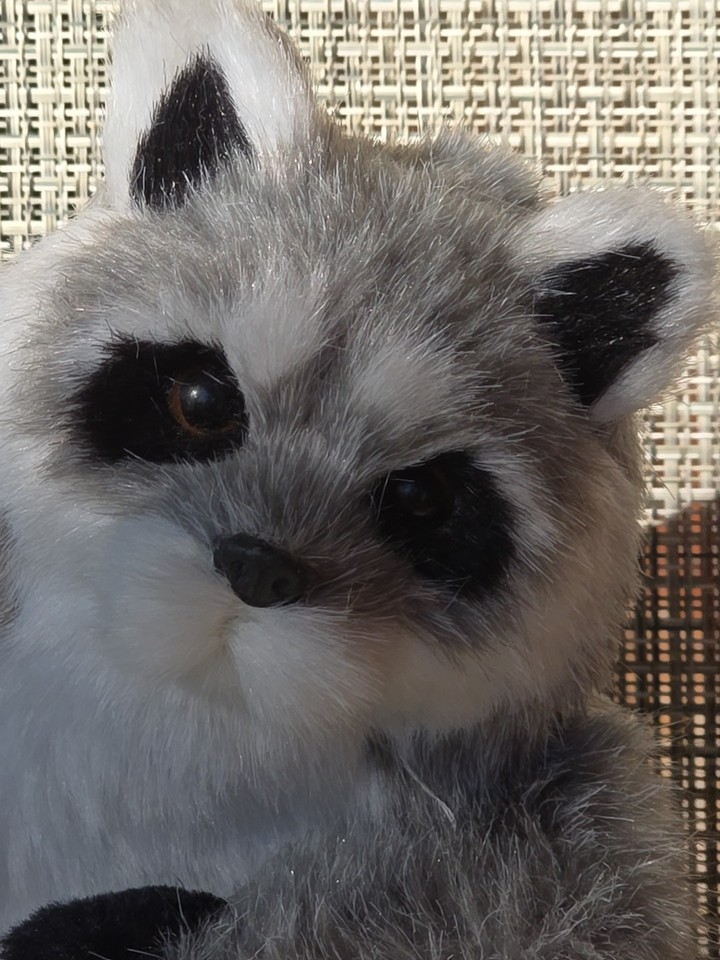 Dancing Plush Meeko Raccoon 12" 3 AA Batteries Wired Gray White Black ...