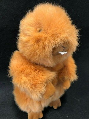 Kohls Cares GUND Gopher Beaver Groundhog Woodchuck Stuffed Animal Plush ...