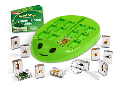 Lakeshore Learning Real Bugs Discovery Kit - 12 Actual Insect Specimens ...