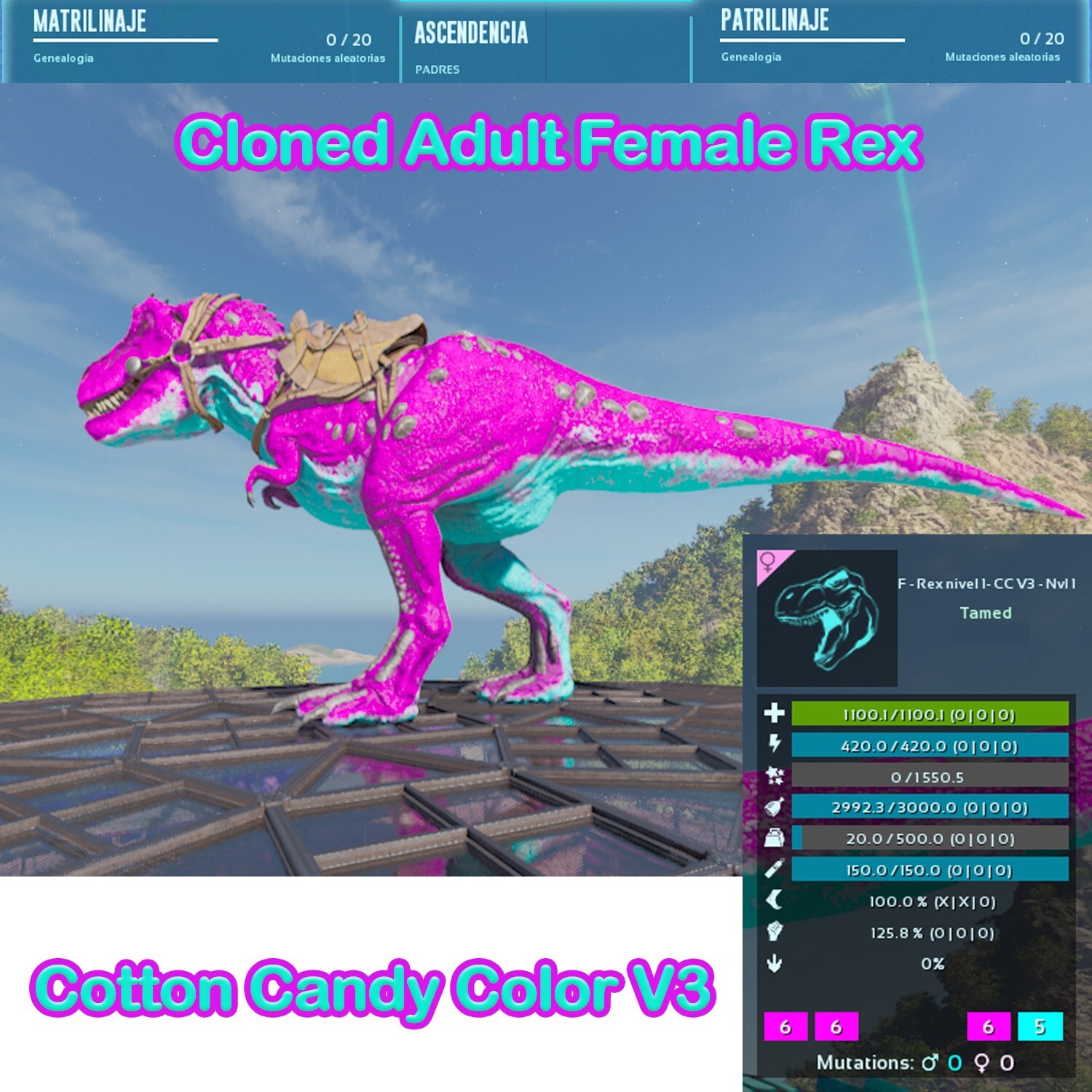 Ark Survival Ascended PVE - Female REX LEVEL 1 (CLONE) XBOX/PC/PS5 ...