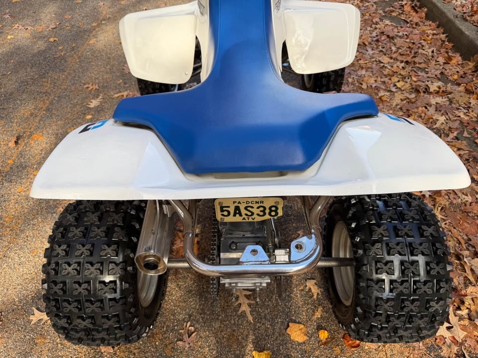 1987 Suzuki LT500R Quadzilla | eBay