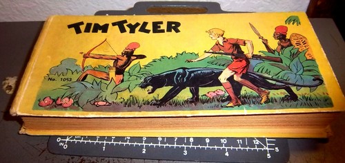 Tim Tyler vintage Book, 1934, Saalfield publishing, Captured by Savages ...