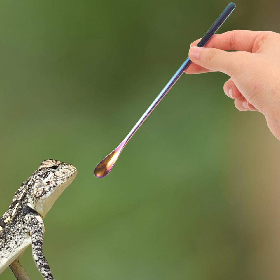 3Pcs Reptile Food Spoon Long Handle Small Pet Food Spoon Lizard Feeding ...