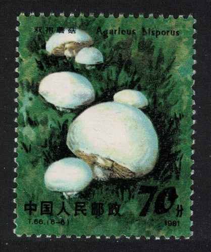 China Edible Mushroom 'Hericium erinaceus' 1981 MNH Sc#1708 SG#3097 | eBay