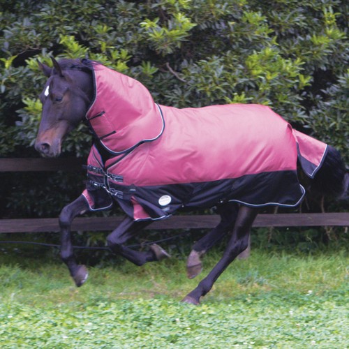 Horse Wear WEATHERBEETA APEX FREESTYLE 400G HEAVY WEIGHT HEAVYWEIGHT ...