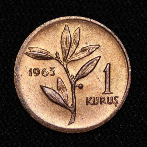 TURKEY ~ 1965 ~ 1 Kurus ~ Quality World Coin ☘️ W-#406 ☘️ | eBay