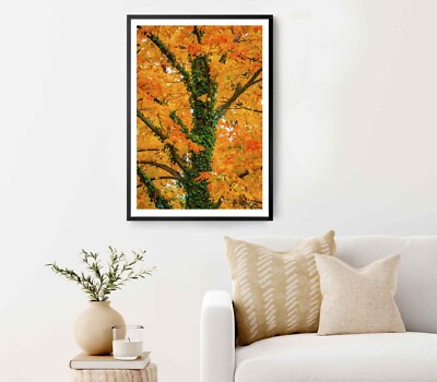 Beautiful Autumn Fall Tree Poster Premium Quality Choose your Size ...