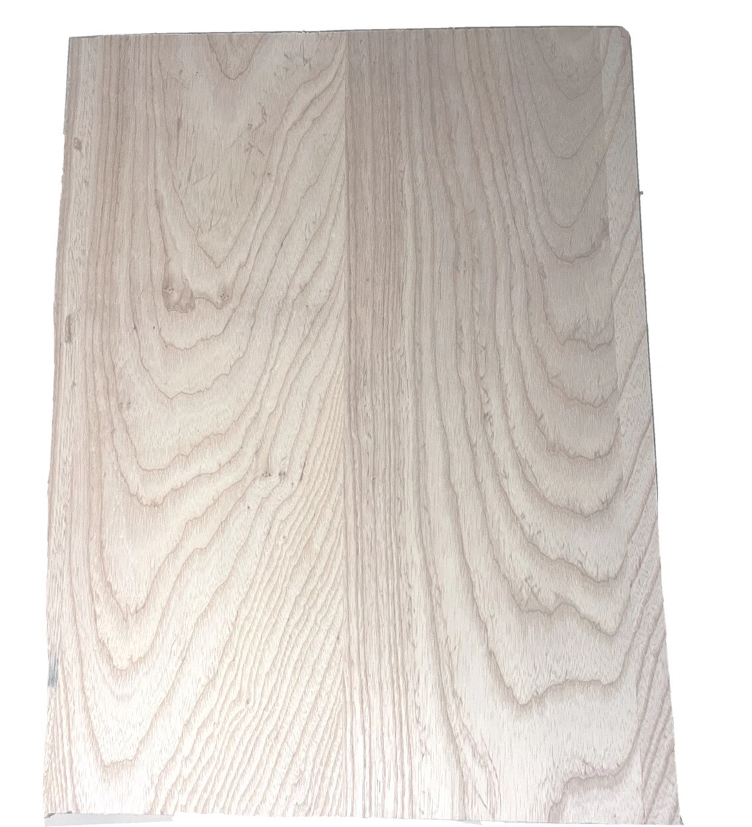 Swamp Ash Wood Grain