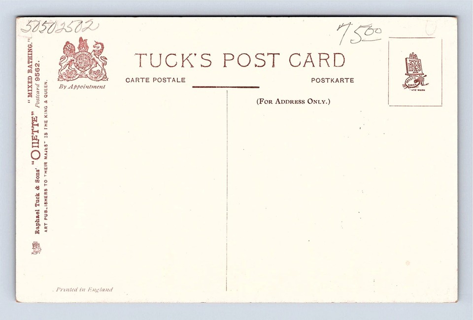 Tuck's Anthropomorphic Cats & Dogs Postcard, Mixed Bathing, Artist ...