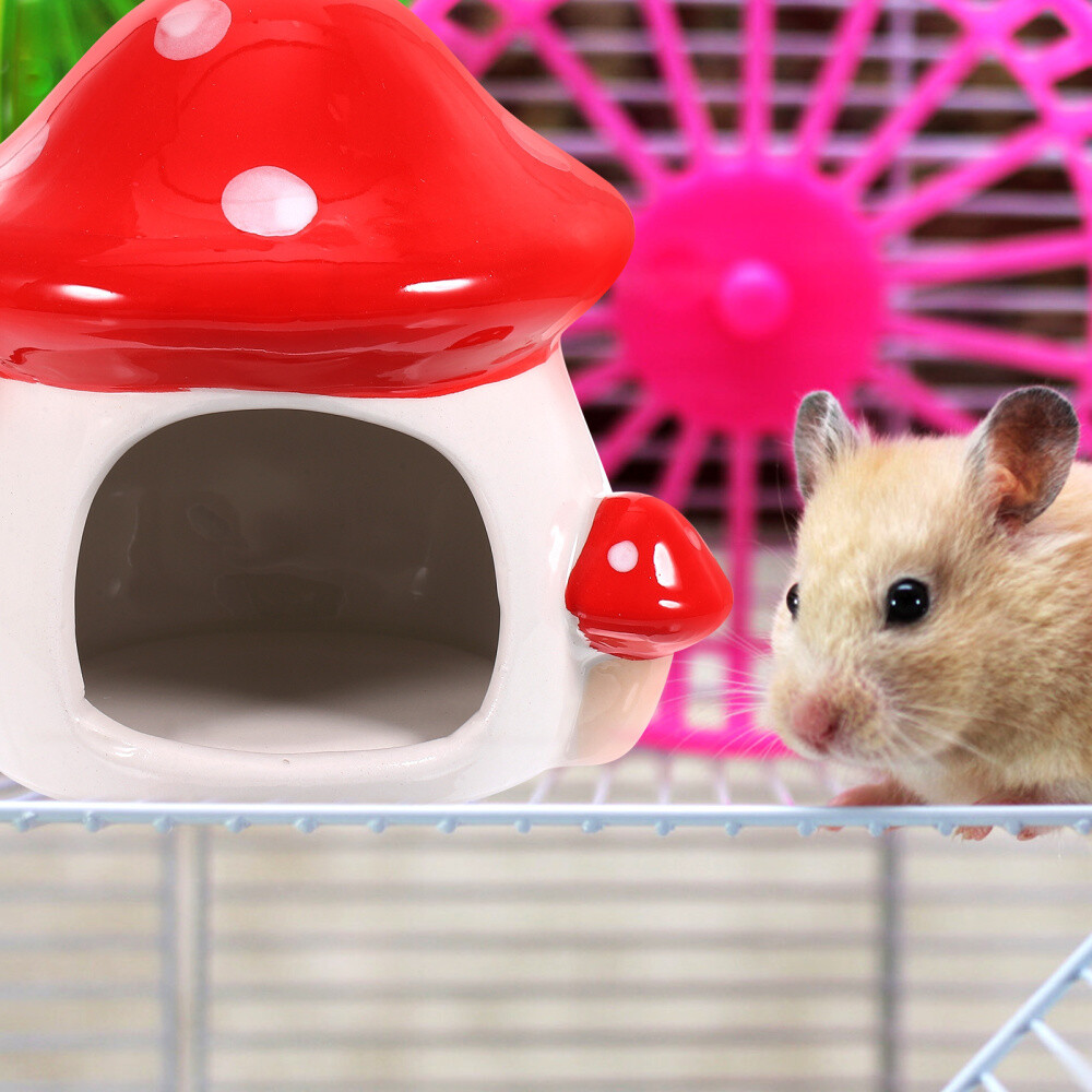 Cool Hamster House
