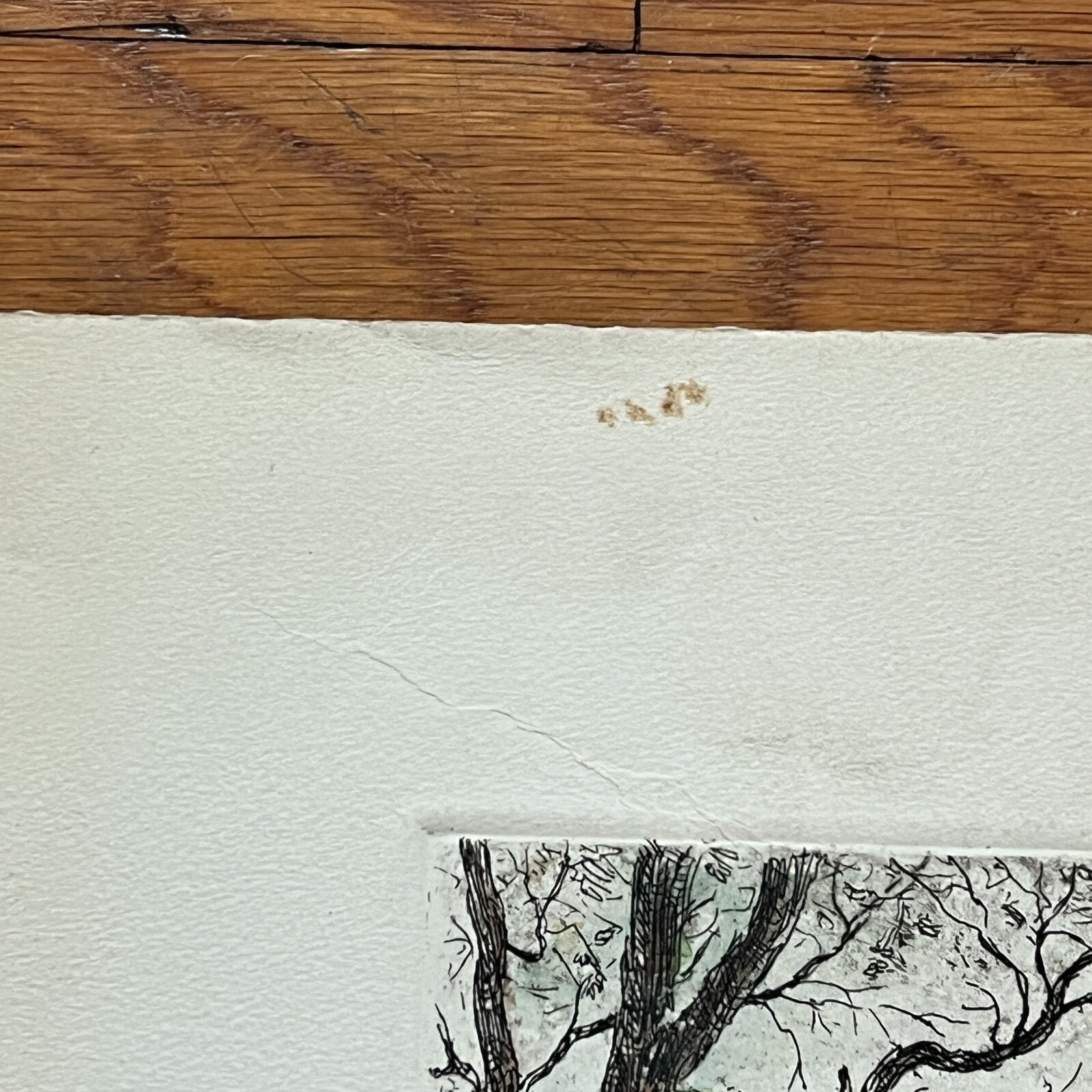 Colored Wood Engraving "Heidelberg" Castle Bridge Germany Vintage Print ...