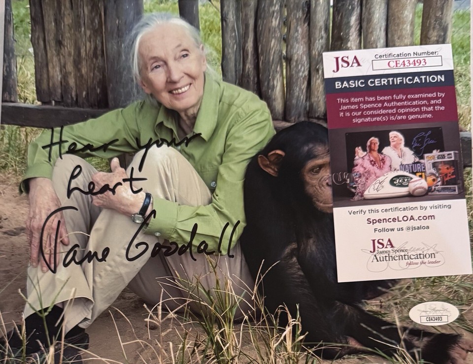 Jane Goodall , Signed Autographed 8x10 Color Photo , JSA authenticated ...