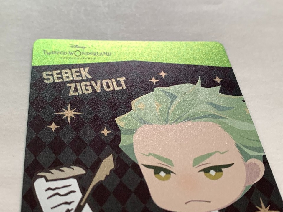 Sebek Zigvolt Disney Twisted Wonderland Plastic card Japanese ...