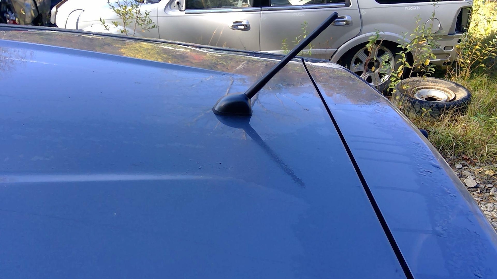 2014 - 2019 Nissan Versa Radio Antenna Assembly w/ Mast OEM | eBay