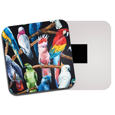 Funky Parrots Fridge Magnet - Tropical Birds Bird Macaw Jungle Cool ...