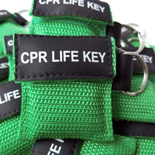 100 pcs Keychain Pouch Cpr Mask One-way Valve Cpr Face Shield First Aid ...