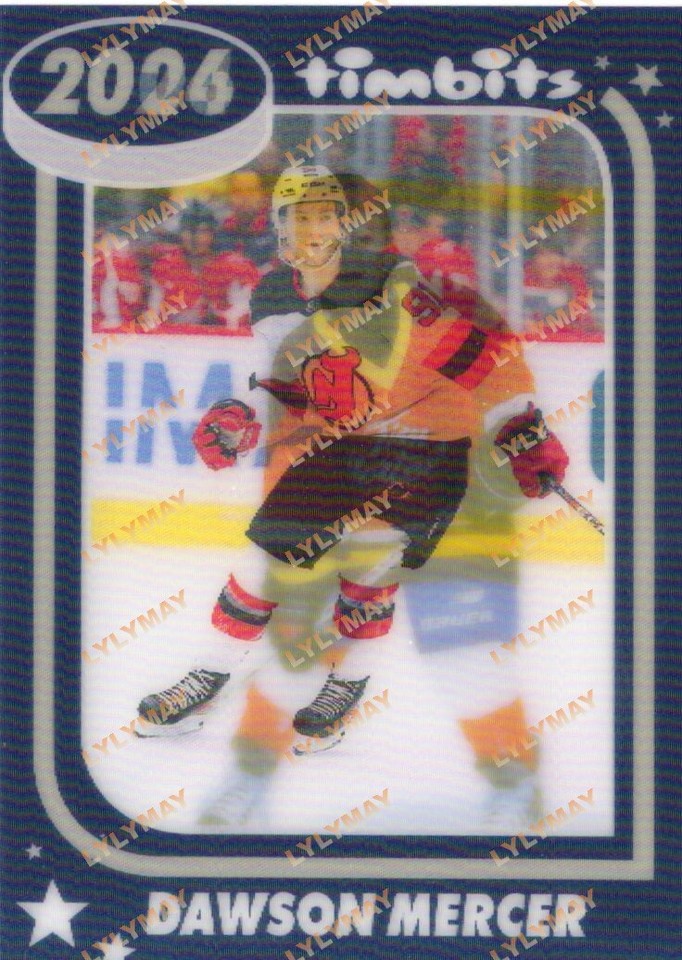 2024-25 UD Tim Hortons Co/ SET Franchise ABOVE/Phenoms/Timbits/ Retro ...