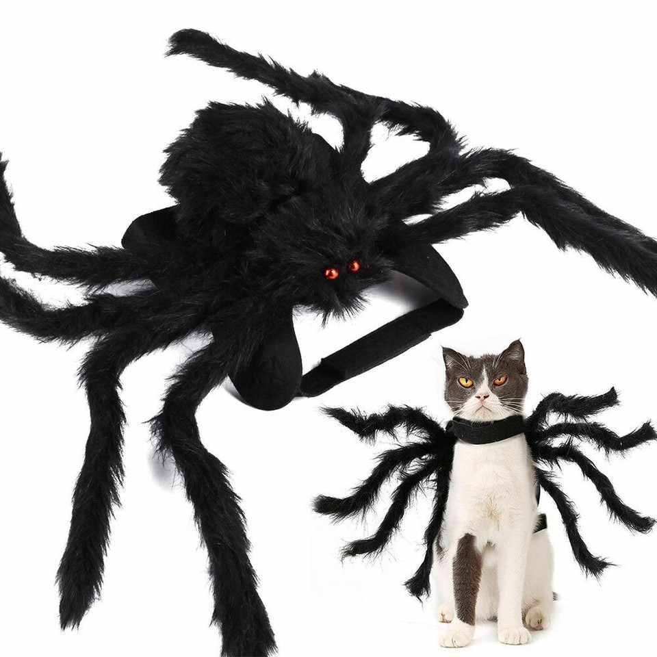 Halloween Pet Spider Black Costume Dog Cat Puppy Spider Cosplay Clothes ...