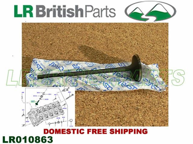 Land Rover Engine Intake Inlet Valve Setx4 RR Sport Range 10-21 ...