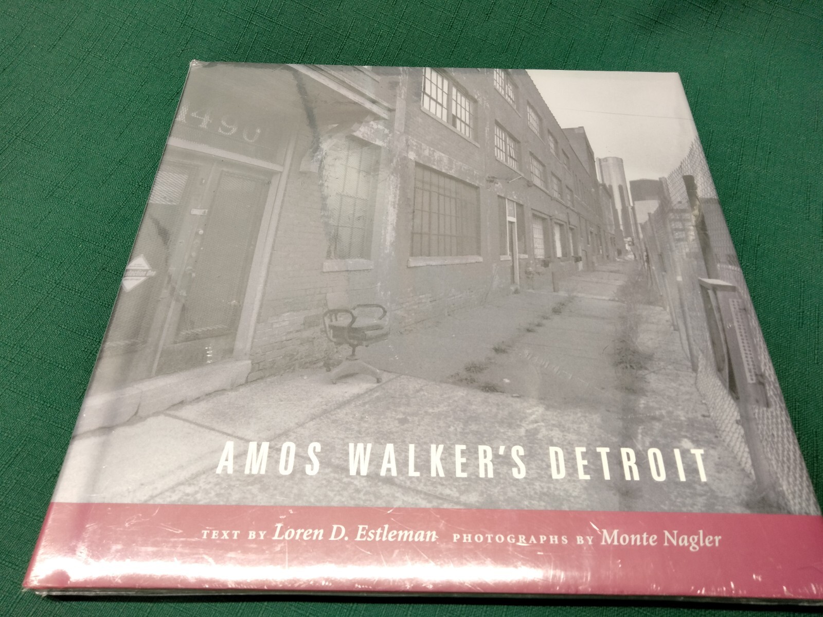AMOS WALKER'S DETROIT (PAINTED TURTLE) By Loren D. Estleman - Hardcover ...
