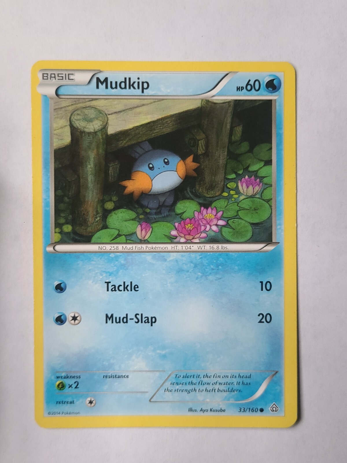 Mudkip Pokemon Card 33/160 HP 60 | eBay