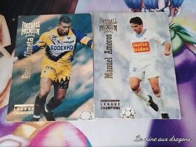 Lot Cartes Lyon Olympique Lyonnais football Premium cards panini 1995 ...