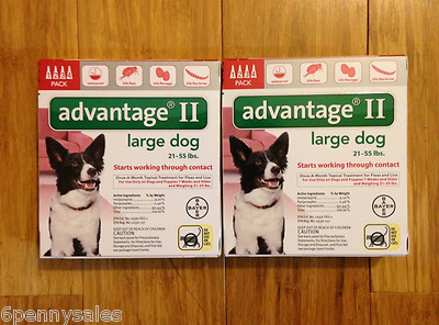 K9 Advantage 21-55 Flea Lice Medicine for Large Dogs Pack K-9 8 Month ...