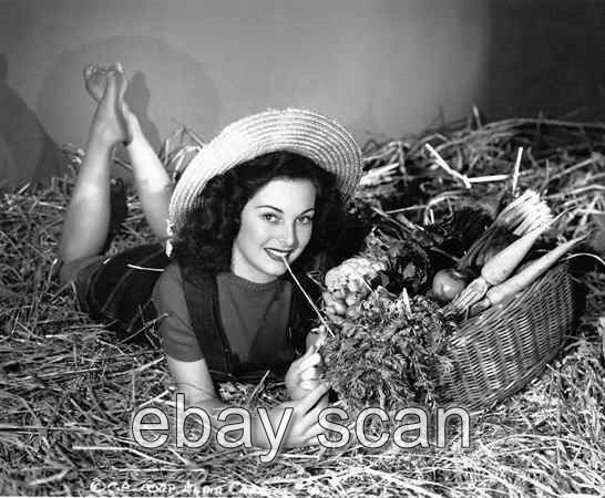 ALMA CARROLL HAYSTACK LEGGY CHEESECAKE 8X10 PHOTO 4 | eBay