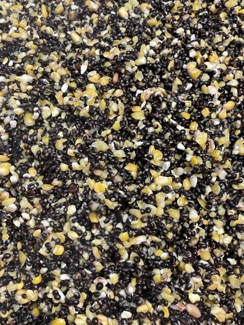Cooked Hemp Seed and Cut Corn/Maize Carp Fishing Particle, Spod Mix 5 ...