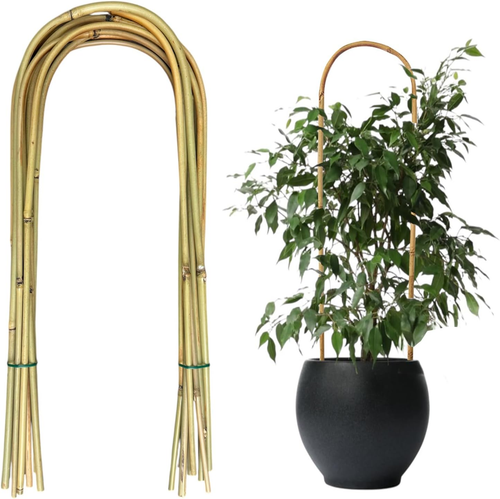 20 Pack Bamboo Trellis U-Hoop for Potted Plants - 16 Inch U-Shaped ...